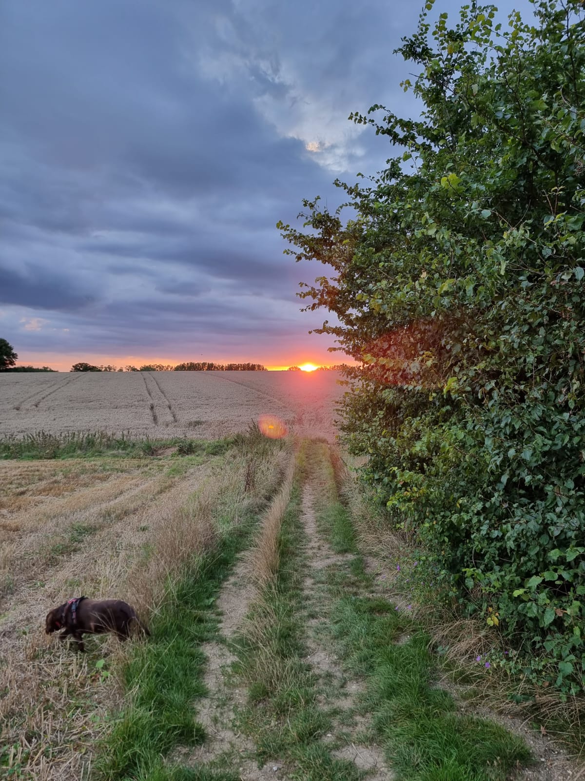 Stepping Up For A Good Cause - MJ Quinn